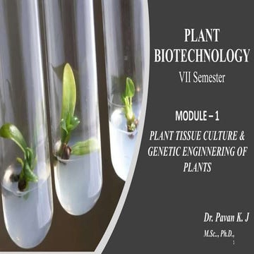 Plant tissue culture | PPTX