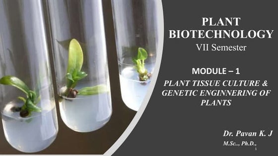 Plant tissue culture | PPTX | Biotech and Biomedical Industry | Industries