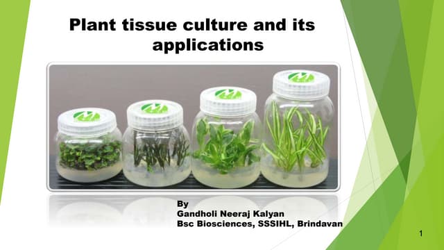 Preparation of plant tissue culture media,types and Sterilization | PPTX