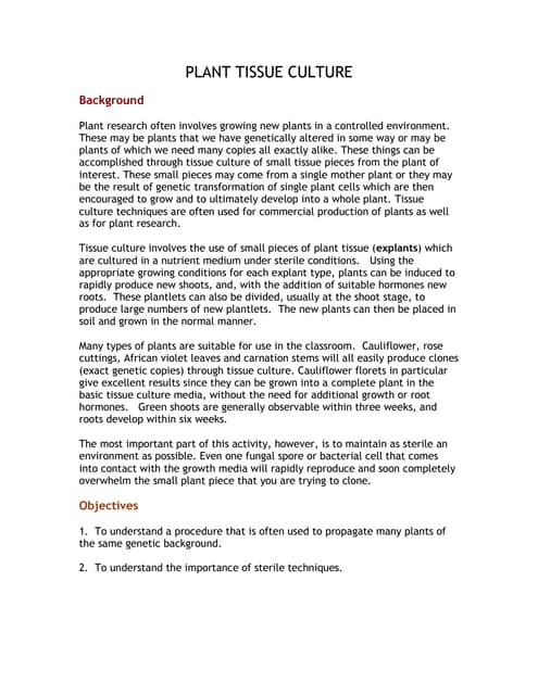 State Board Practical Set-up | PPT | Hair Care | Beauty