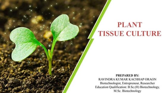 Preparation of plant tissue culture media,types and Sterilization | PPT