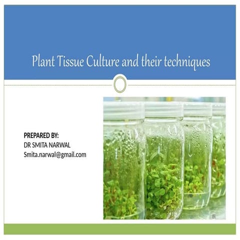 Plant Tissue culture and Techniques.pptx