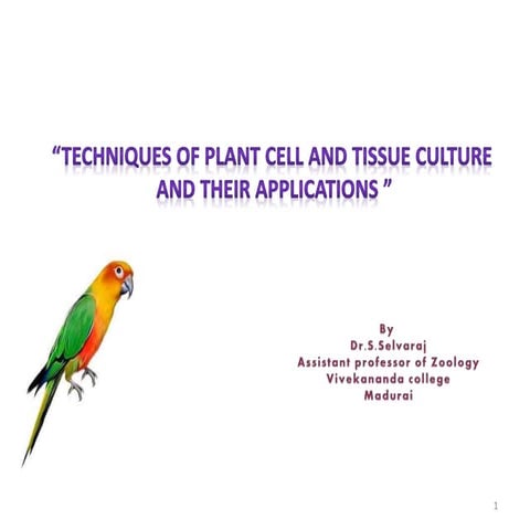 plant tissue culture &cell.pptx