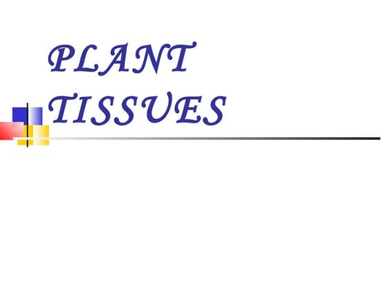Plant Tissues for Grade 10 Life Sciences | PPTX | Skin and Dermatology ...