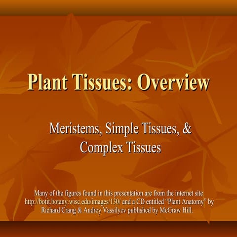 Plant tissues | PPT