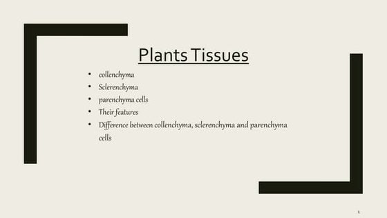 Simple and complex tissue (permanent tissue) | PDF | Biological ...