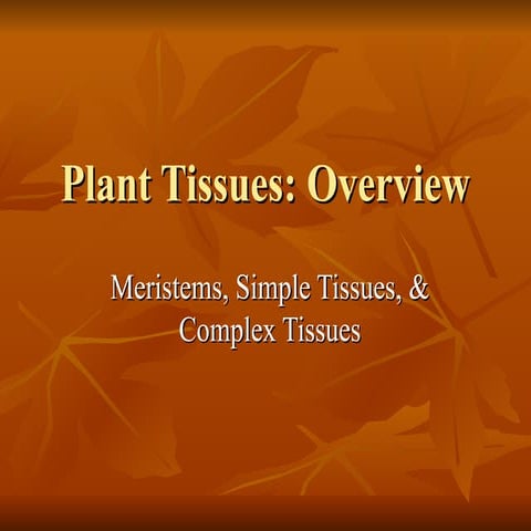 LIFE SCIENCES GRADE 11 Plant Tissues.ppt