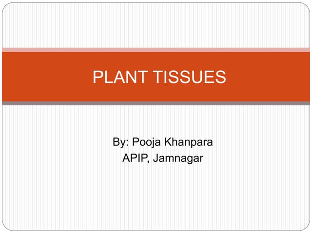 Tissues Class 9 ppt | PPTX