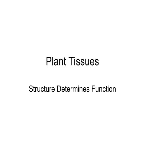 Plant Tissues , typesand anatomy (1).ppt