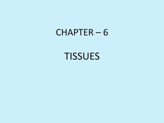 Tissues Class 9 ppt | PPTX