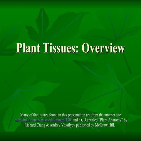 Plant tissues (tbp) | PPT