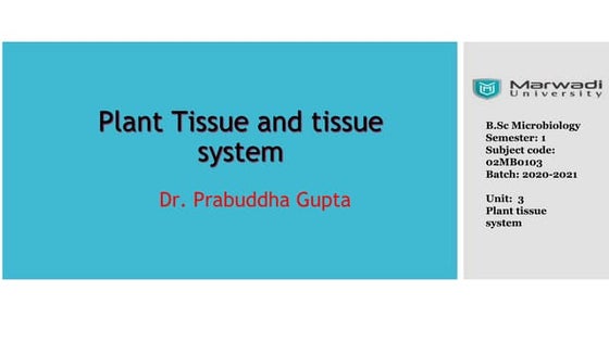Simple and complex tissue (permanent tissue) | PDF | Biological ...