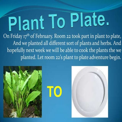 Plant to plate | PPTX