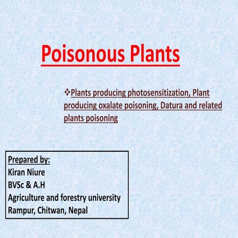 Plant toxin | PPT