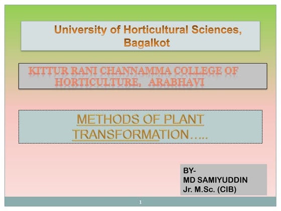 Gene transfer methods | PPT
