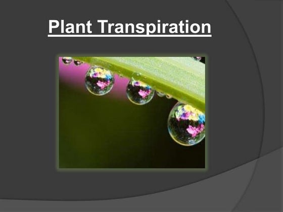 Transpiration and transpirational pull | PPTX
