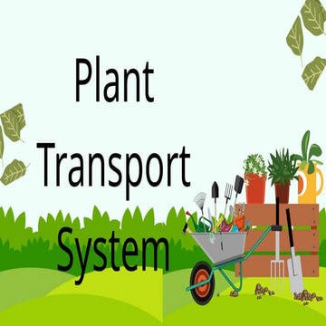 DIGESTIVE SYSTEM-plant transport-WEEK 2.pptx