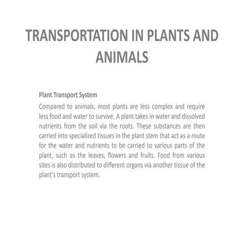 Plant transport system | PPTX