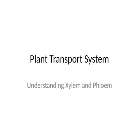 Plant_Transport_System_PPT_with_Images_and_Quiz.pptx