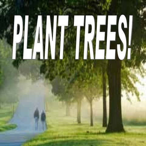 Plant Trees! | PPT