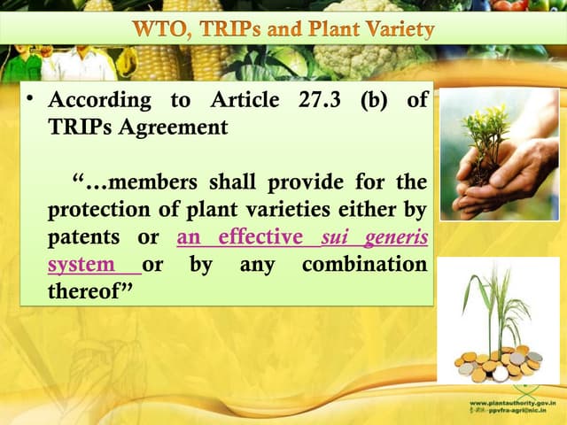 Protection of plant varieties and farmers' rights act | PPTX