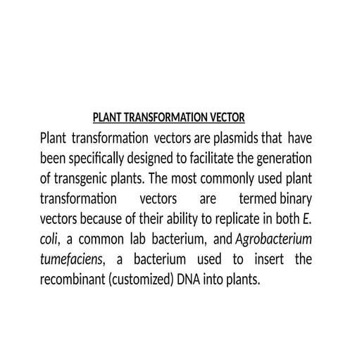 Plant Vectors.pptx by taimoor khan biotech | PPT