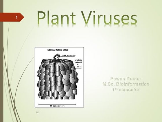 Transmission of plant viruses | PPTX | Infectious Diseases | Diseases ...