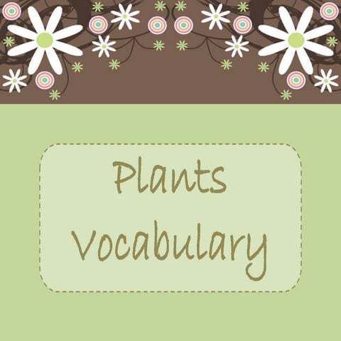 Plant vocabulary | PPTX