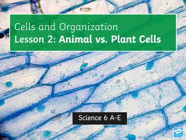 SCIENCE7: Plant and Animal Cells | PPTX