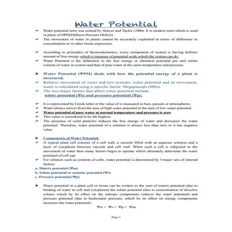 Water Potential.ppt