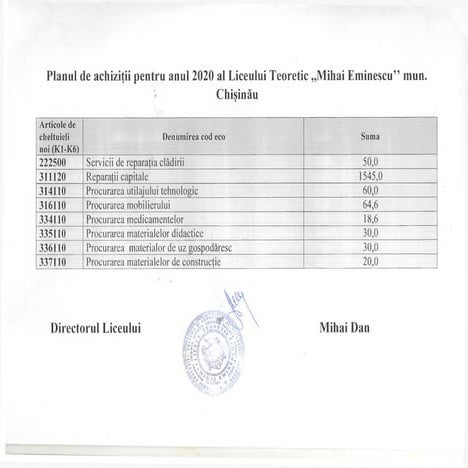 Planul de achizitii | PDF