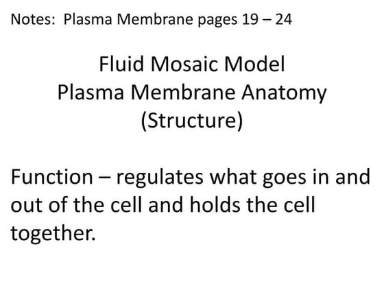 Plasma membrane | PPTX