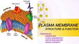 Cell membrane | PPT