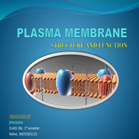 Plasma membrane | PPT