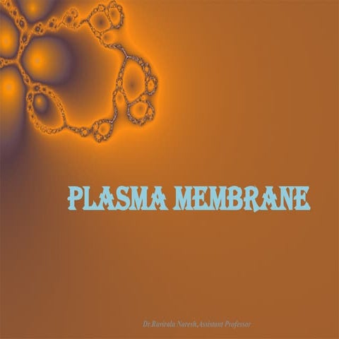 PLASMA MEMBRANE STRUCTURE AND FUNCTIONS | PPT