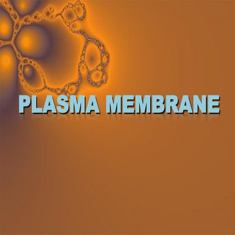 class 12 class 2 chapter chapters physix.pptx