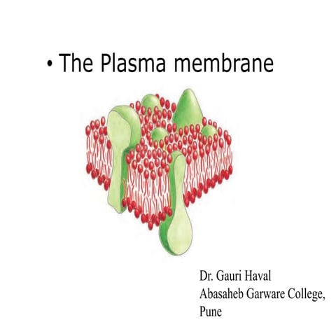 Plasma membrane : cell biology | PPTX