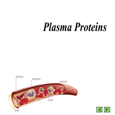 Plasma Proteins presentation for university | PPT