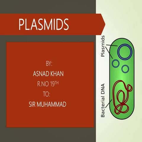Plasmid by ASNAD KHAN | PPTX