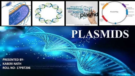 Plasmids and types | PPTX | Genetics | Science