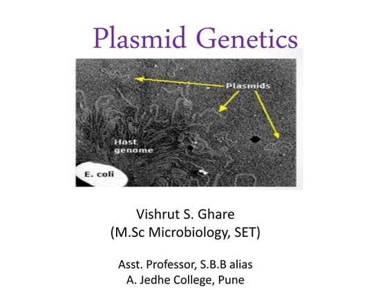 High and low copy number of plasmids | PPTX | Biological Sciences | Science