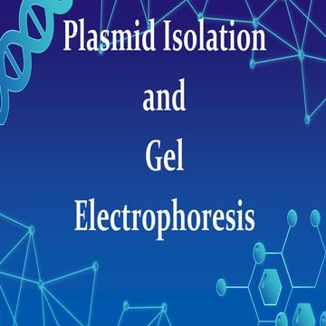 Plasmid Isolation And Gel Electrophoresis.pptx