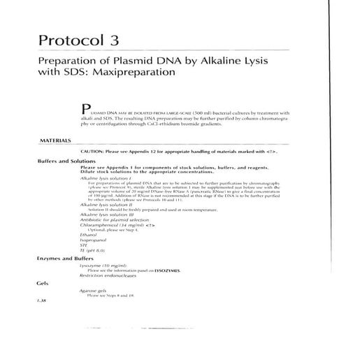 Plasmid Prep - Maxi.pdf