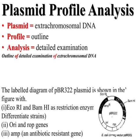 Profile Plasmid Profile Analysis - Print.pptx