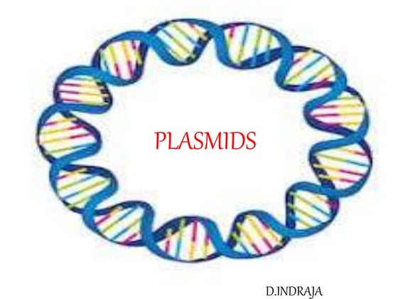 Plasmid | PPT