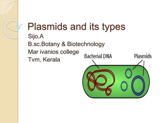 Plasmid | PPT