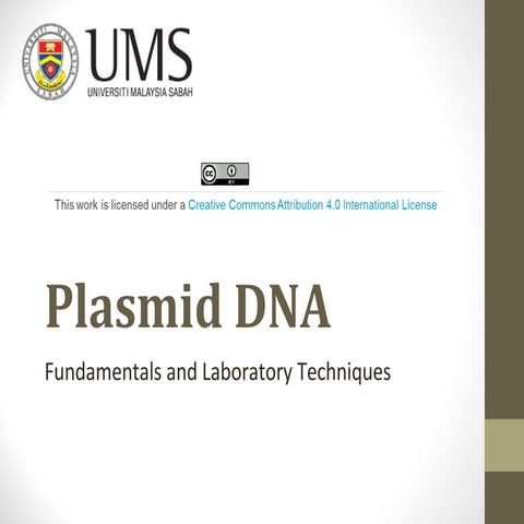 Plasmid DNA | PPT