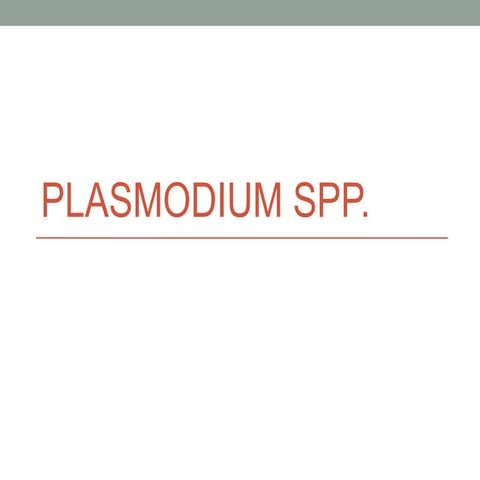 plasmodium.ppt