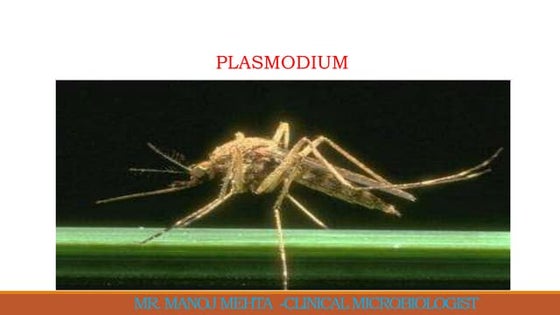 INFECTION WITH MALARIA PARASITES Plasmodium Spp. | PPT