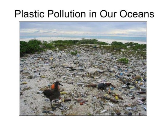 Plastic in the ocean | PPT